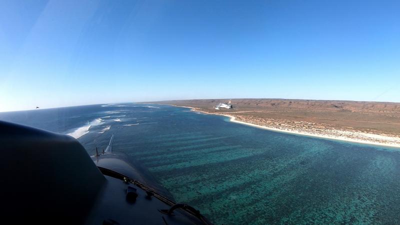 Hawk 127 aircraft training at RAAF Base Learmonth | Air Force